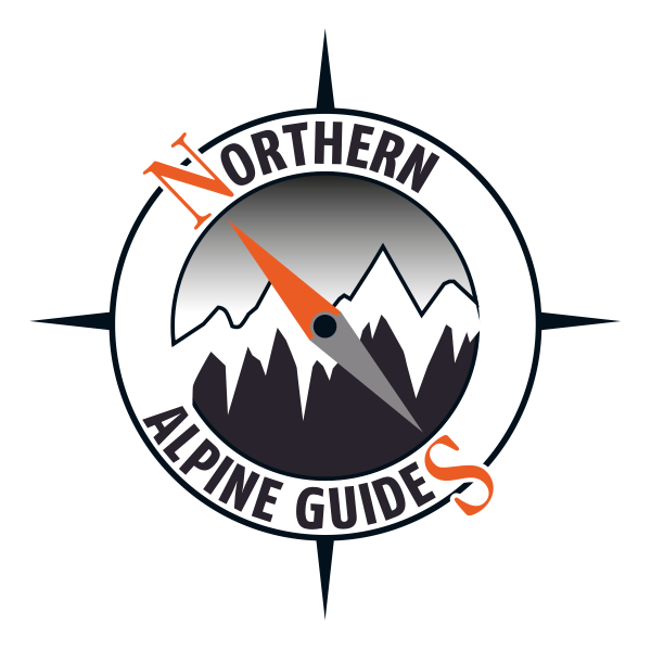 Lofoten project – ARCTIC IN MOTION